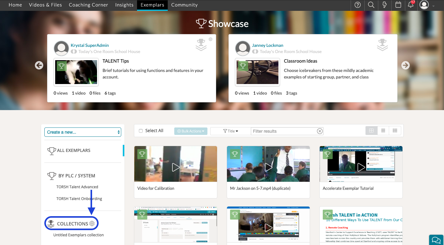 How to create an Exemplar Collection – TORSH Talent